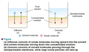 Gels : Defination, Types, Properties | Read Chemistry