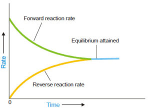Characteristics of Chemical Equilibrium | Read Chemistry