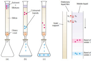 System, Surroundings, and State: Definition - Overview | Read Chemistry
