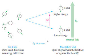Sulphur system - Phase diagram of Sulphur | Read Chemistry