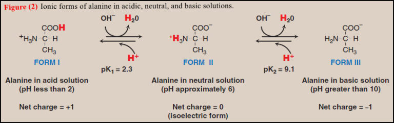 Properties of Amino acids - Acidic and Basic Properties | Read Chemistry