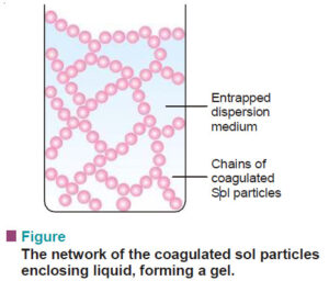 Gels : Defination, Types, Properties | Read Chemistry