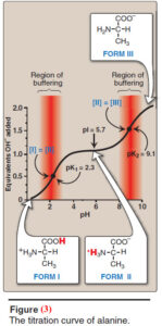 Properties of Amino acids - Acidic and Basic Properties | Read Chemistry