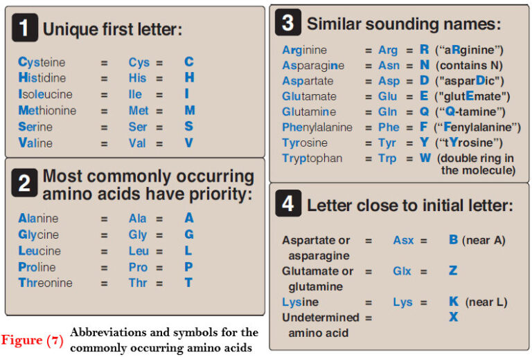 Amino acids - Structure of Amino acids | Read Chemistry