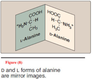 Amino acids - Structure of Amino acids | Read Chemistry